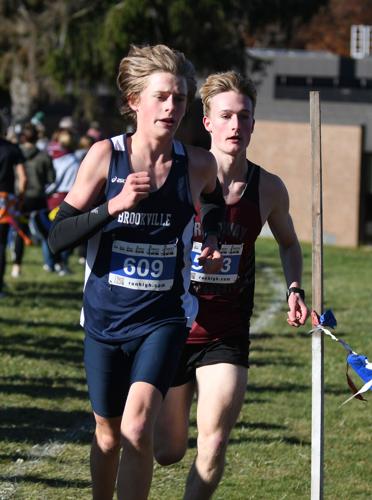 Area boys go medal-less at state cross country | Sports ...