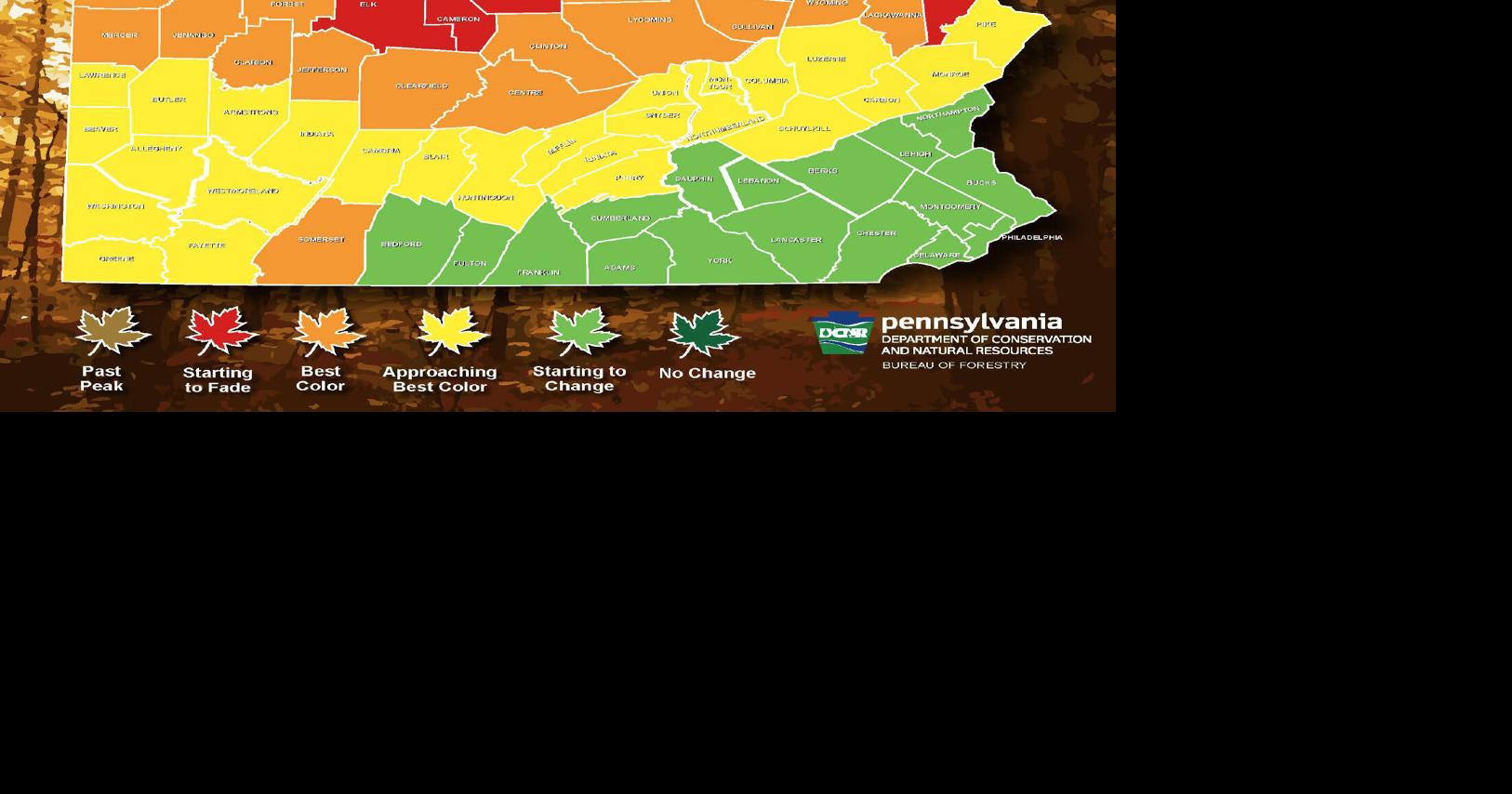DCNR: Leaves showing best color in Clearfield, Jefferson counties ...
