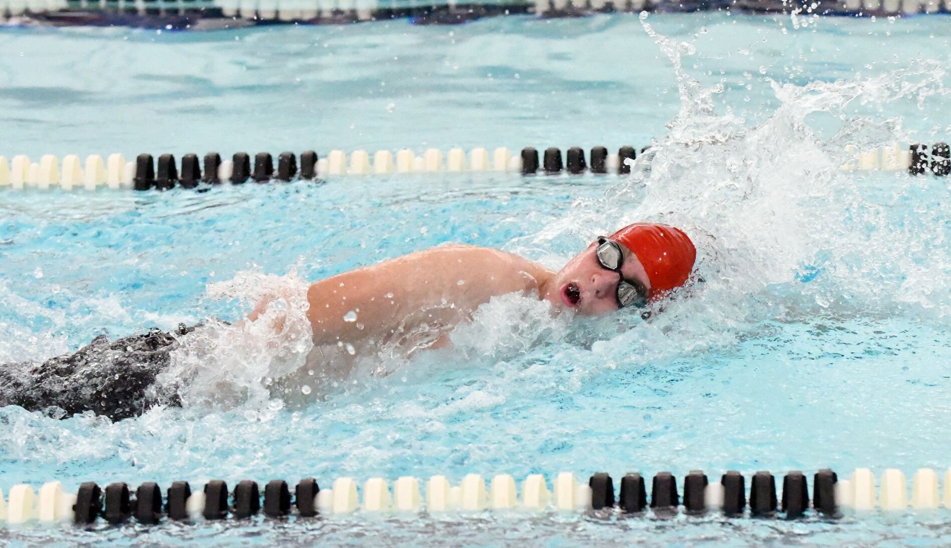 Stringer free | Swimming | thecourierexpress.com