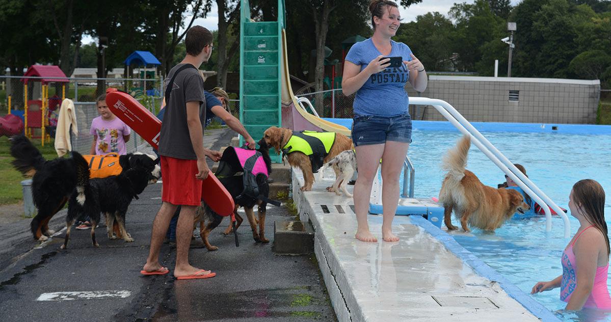 SPLASH seeking vendors for upcoming community sale fundraiser | Local ...