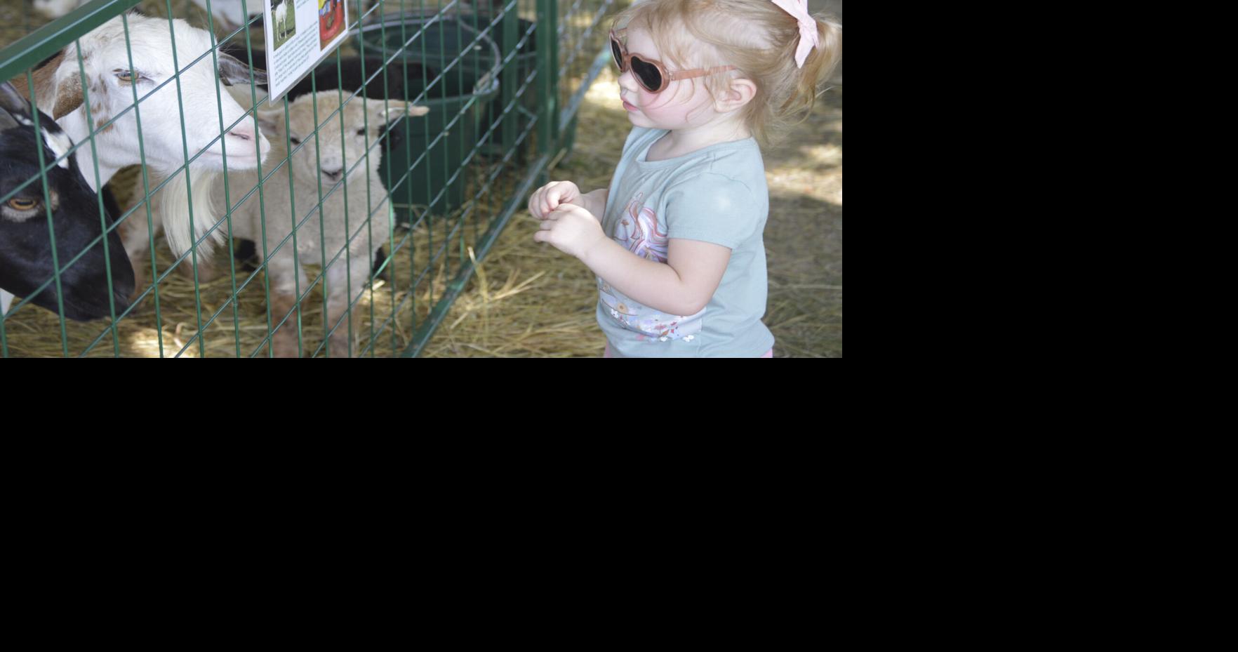 Petting zoo, truck pull and rodeo return to Jefferson County Fair this summer | News ...