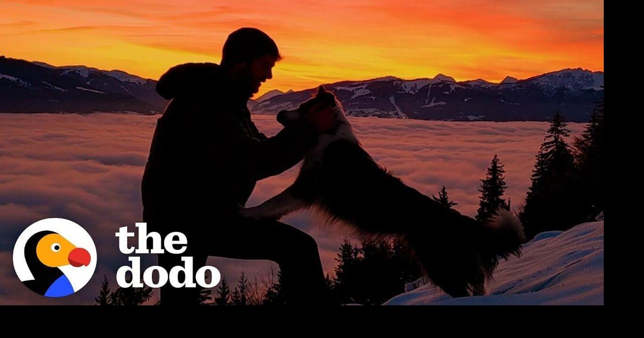 Man Leaves Everything Behind To Follow His Dream With His Dog | The ...
