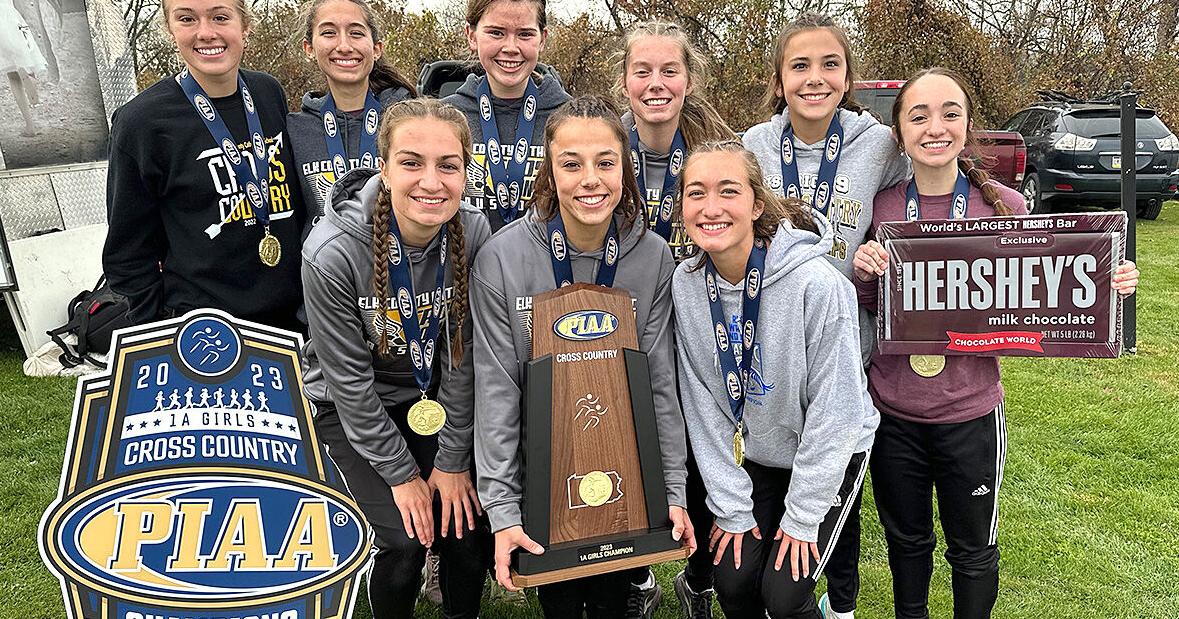 Golden Girls: Lady Crusaders claim cross country title | Sports ...