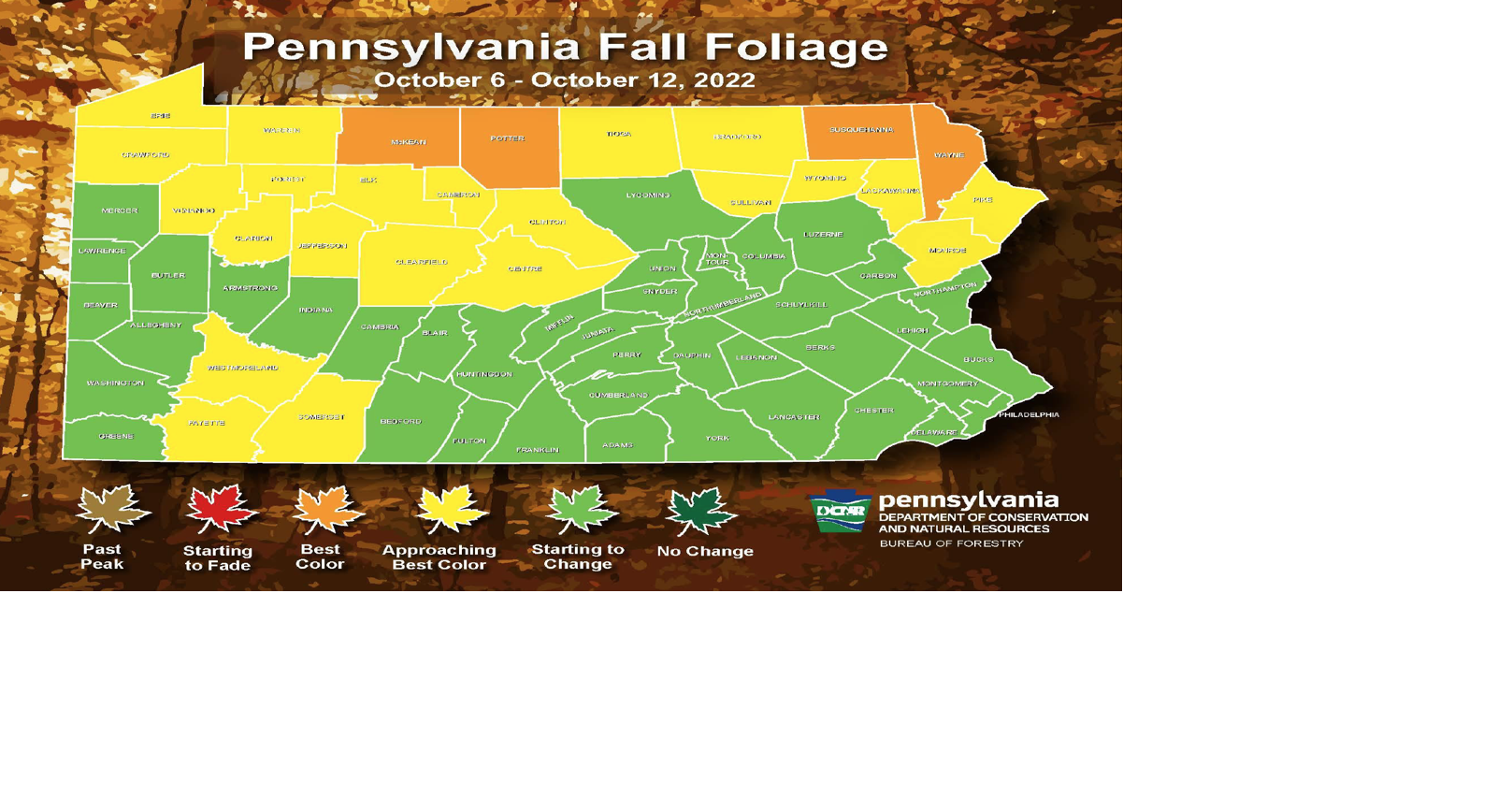 DCNR: Leaves in Clearfield, Elk, Jefferson counties approaching best ...