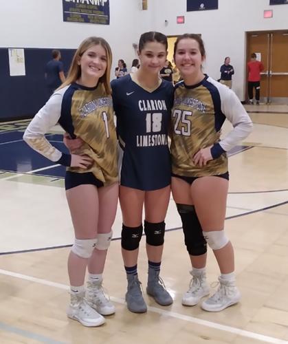Volleyball: Lady Lions take Sr. Night 4-setter | Local ...