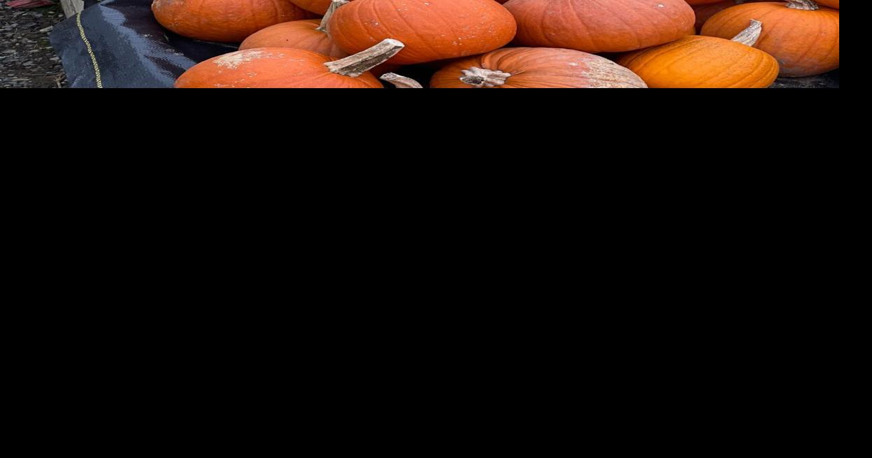 Pumpkin Festival set for Saturday at Rathmel Run Farms | News ...