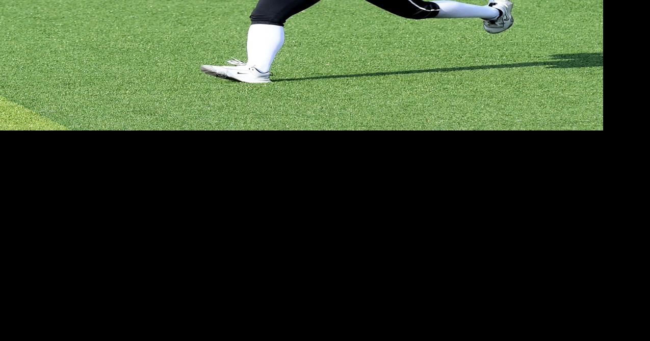 Area has 14 players garner All-State softball honors | Sports ...