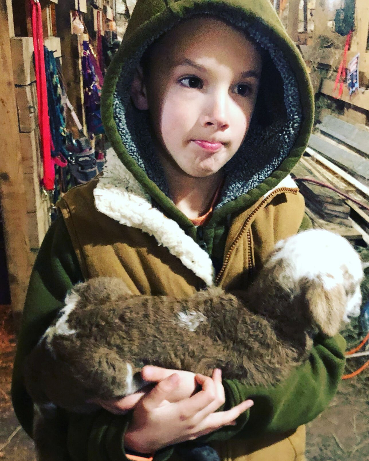 Lamb snuggling offers therapeutic, educational benefits at Big Maple ...