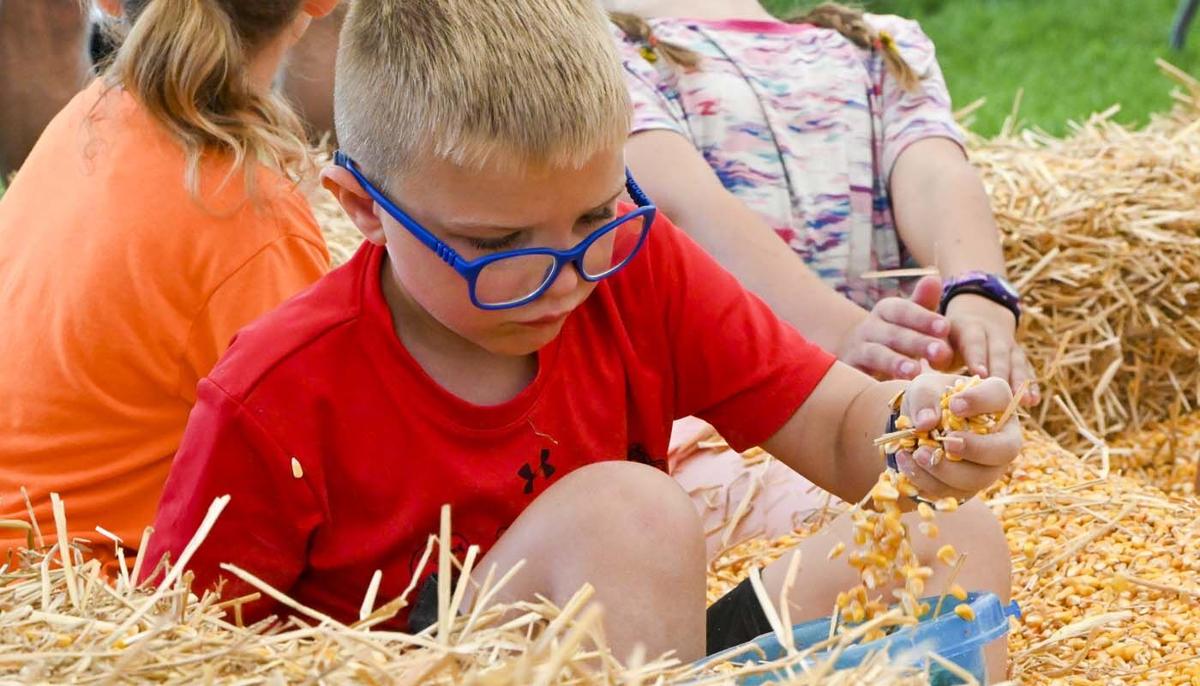 Corn pit is a hit at Fort Recovery Harvest Jubilee | News | thecr.com