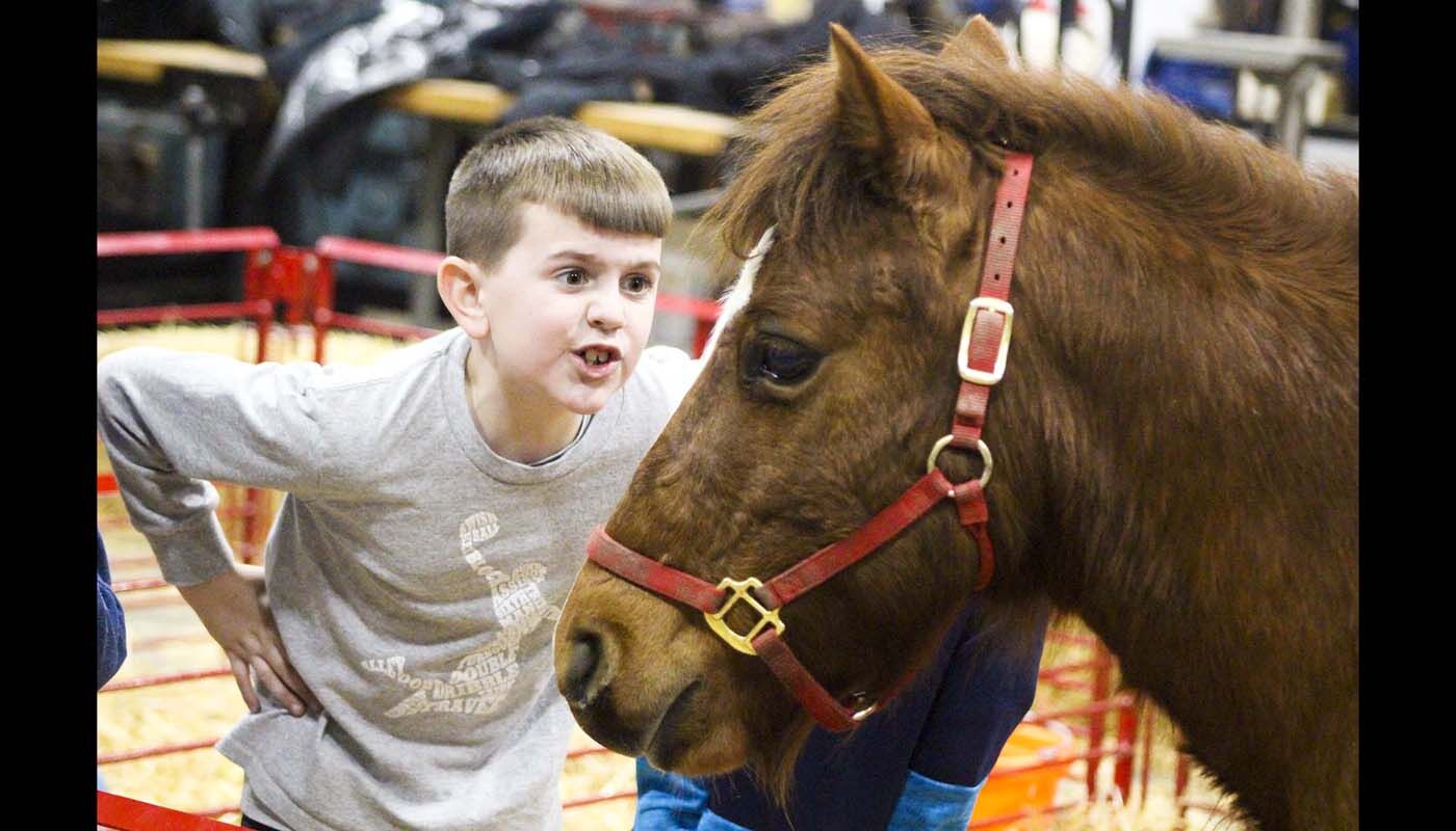 Fort Recovery FFA hosted its petting zoo on Thursday | News | thecr.com