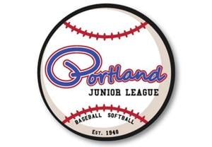 Bruggeman leads POET to victory in Junior League baseball | Sports ...