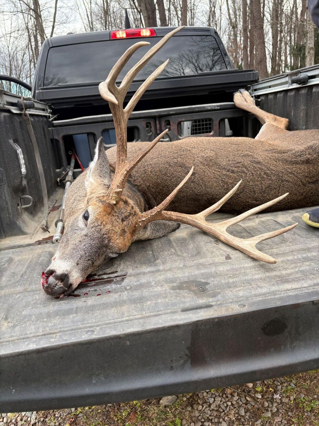 Outdoor Briefs: Trio fined for poaching big Tioga buck | Sports ...