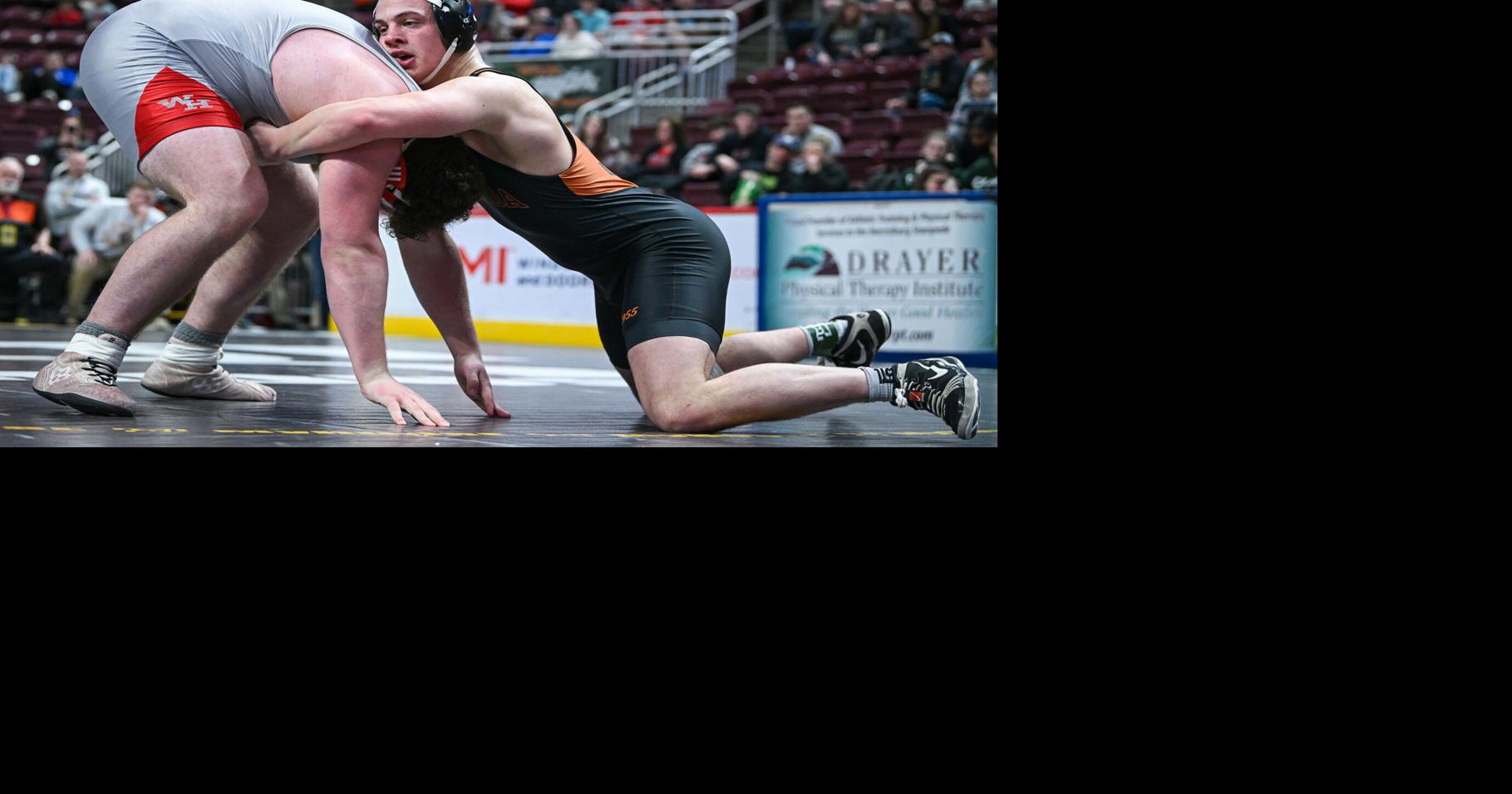 Towanda's Robinson, Higley reach state medal position; Vanderpool just ...