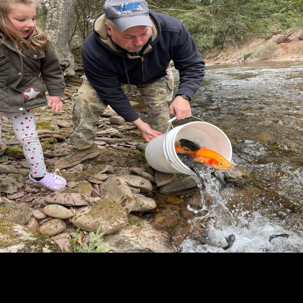 Digital Edition | thedailyreview.com