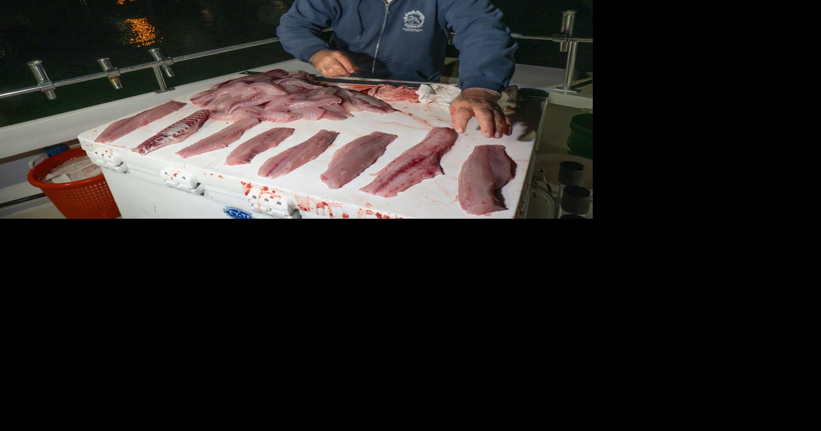 Maryland to curb striped bass fishing in spring spawning season ...