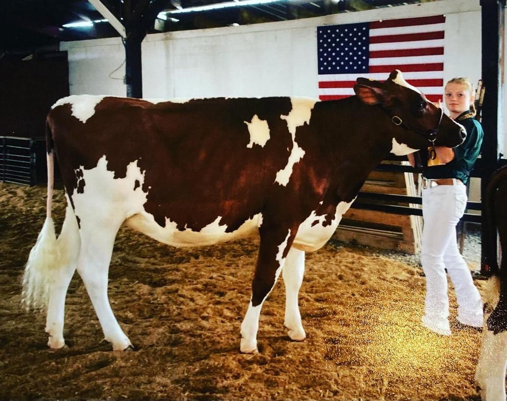 Page F4 | Digital Edition | thedailyreview.com