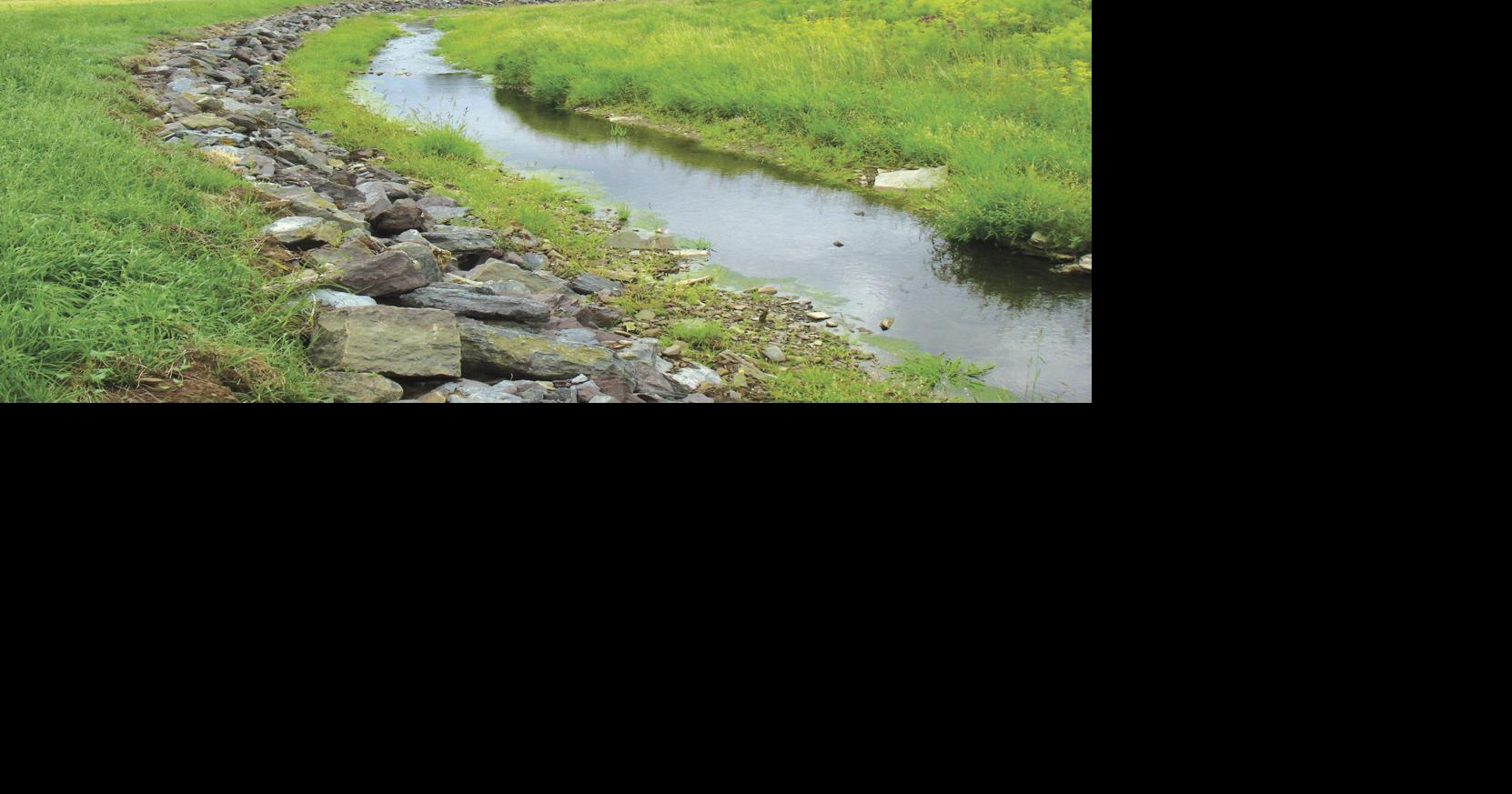 Conservation Corner: Can I actually work in a stream? | Arts & Living ...