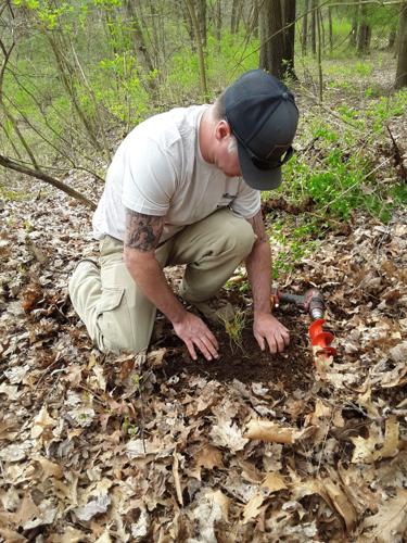 Penelec supports Carantouan Greenway with new trees | Local/Regional ...