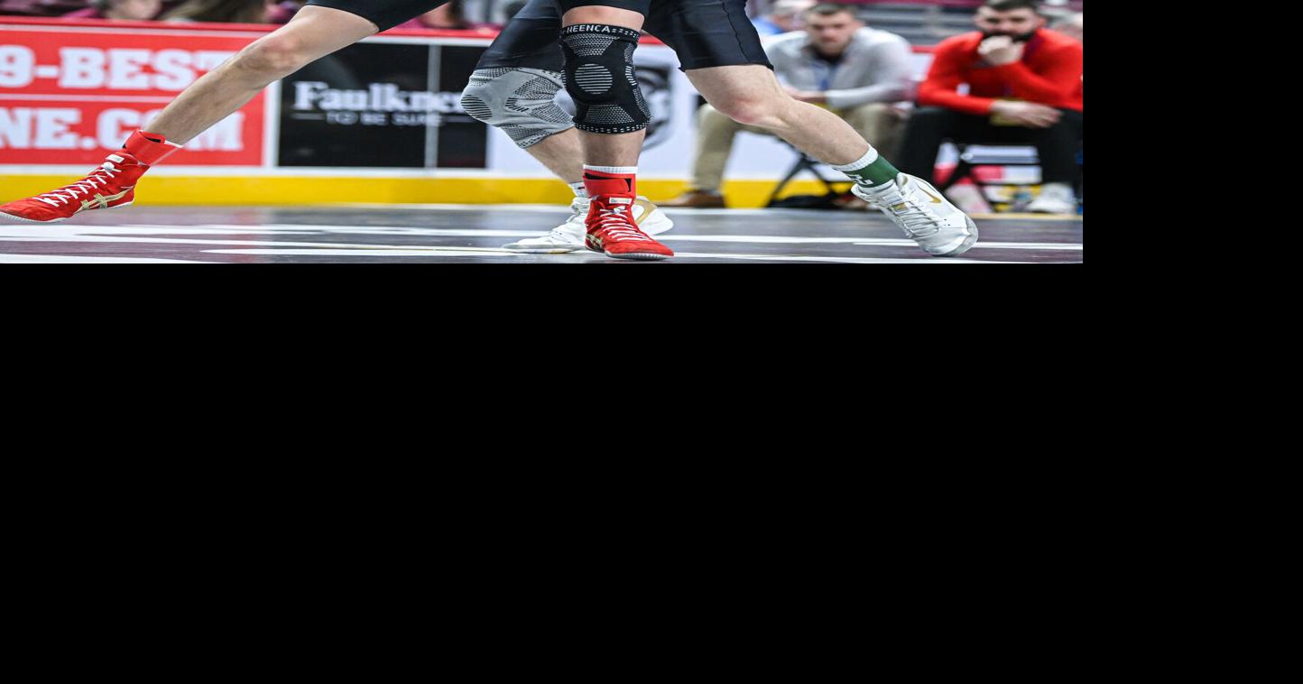 Sullivan County's Wade reaches state quarterfinals; Wyalusing's ...