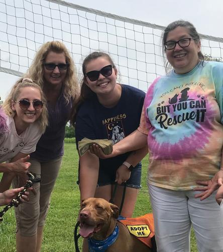 Lake Bonin Days Raised Money and Adoptions for BCHS | Local/Regional ...