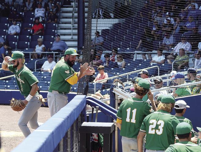 nick gilpin baseball