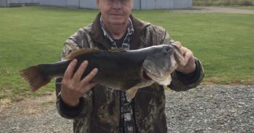 Richard 'Dick' Frank Weed, 76 | Obituaries | thedailyreview.com