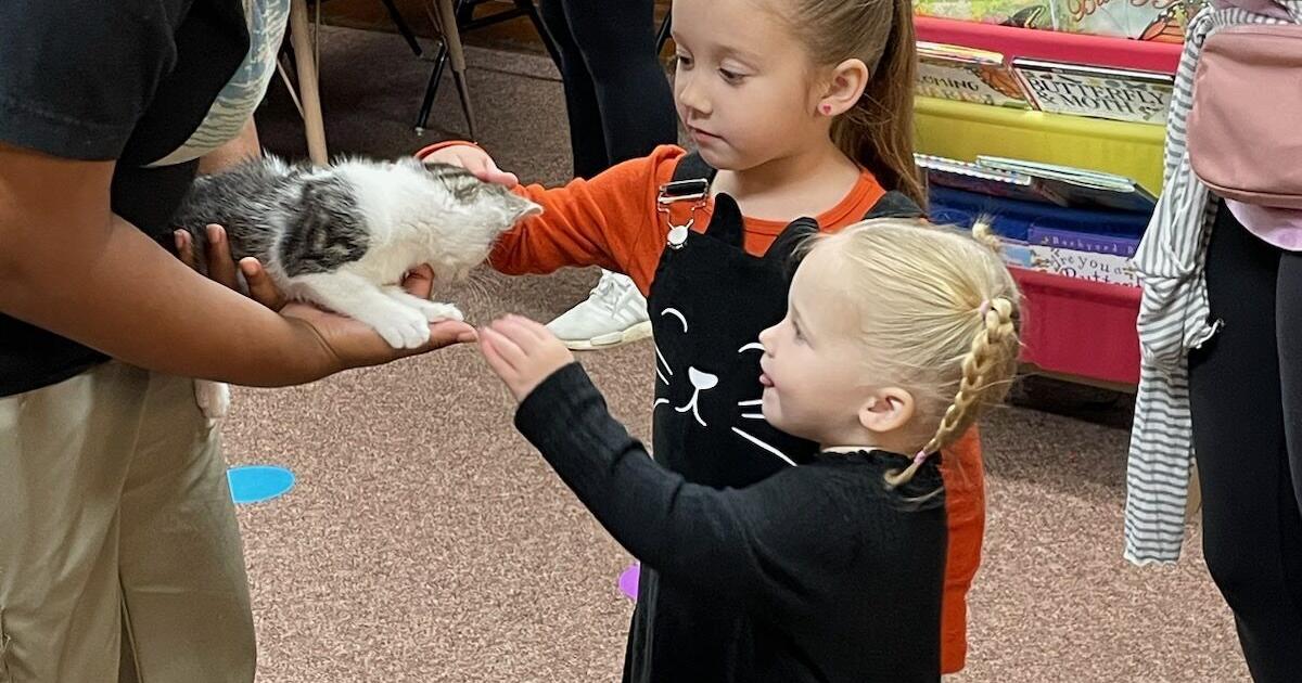 Spalding Memorial Library offers Halloween activities during October ...