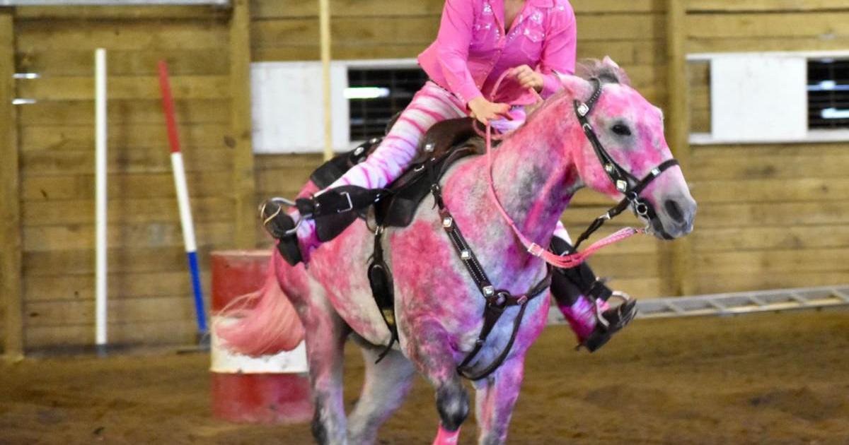 Riding for funds; Rockin’ N Stables to hold sixth annual Barrels and ...
