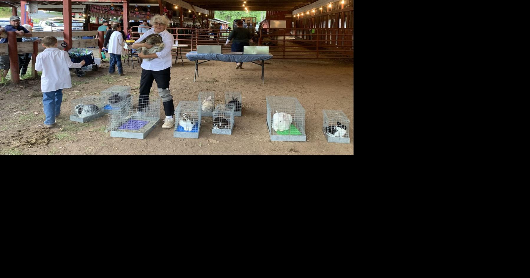 Sullivan County Fair features 4-H show, tractor pulls | Local/Regional ...