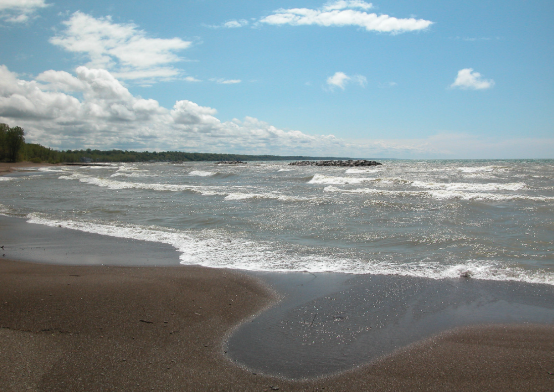 Page A8 | Digital Edition | thedailyreview.com