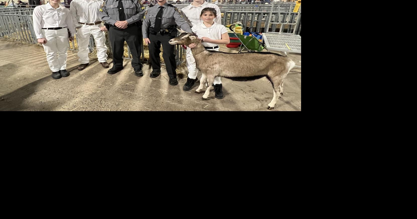 Area goat showers shine at Farm Show | Farmersfriend | thedailyreview.com