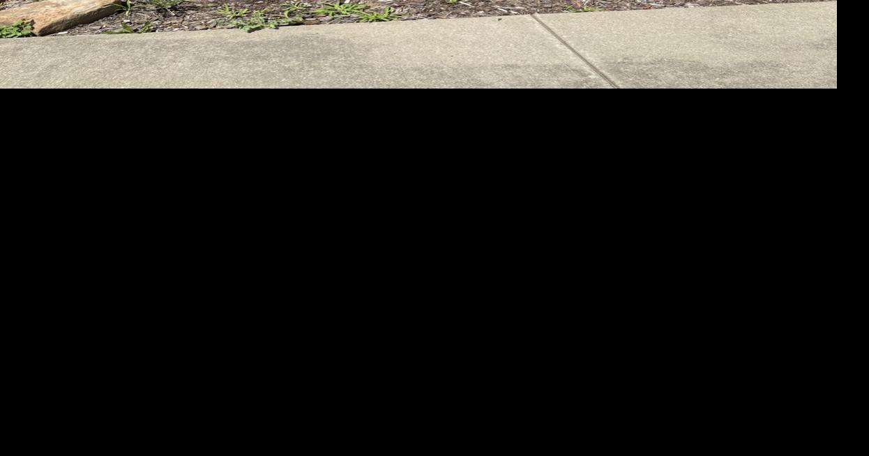 $500 presented to Salvation Army | Local/Regional | thedailyreview.com