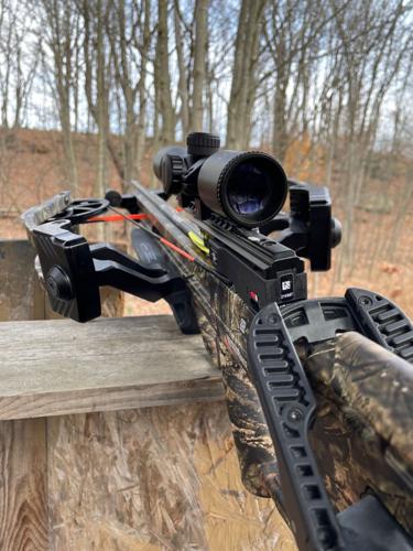 Crossbow hunting – sometimes | Sports | thedailyreview.com