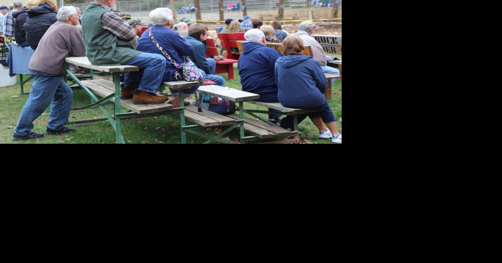 Sullivan County Fall Festival draws record crowd | Local/Regional ...