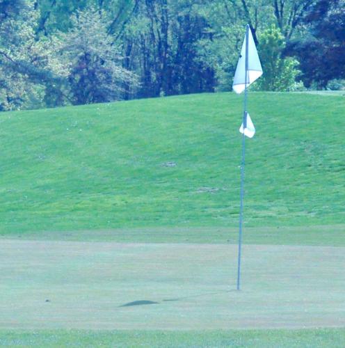 Golf tournament, annual conference set for domestic relations employees ...