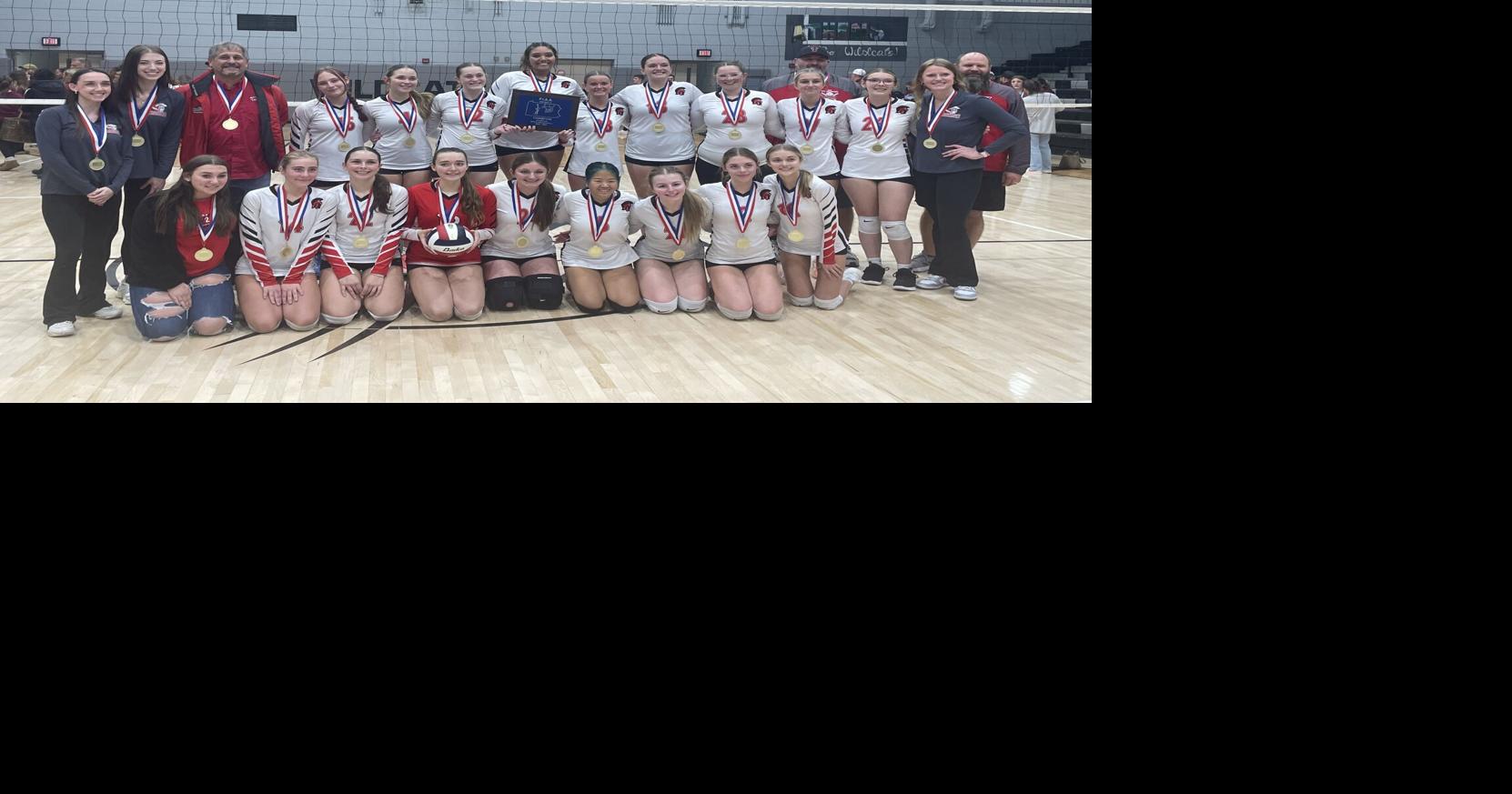 Volleyball: Troy defeats Loyalsock in four to win District IV title ...