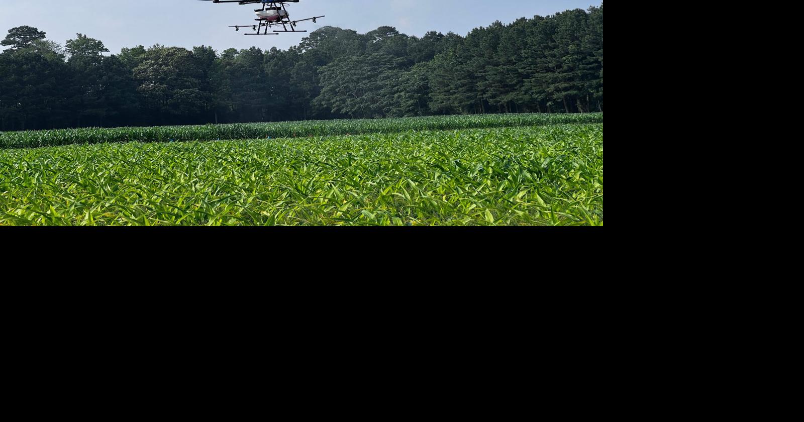 Researchers study herbicide spray applications using drones ...