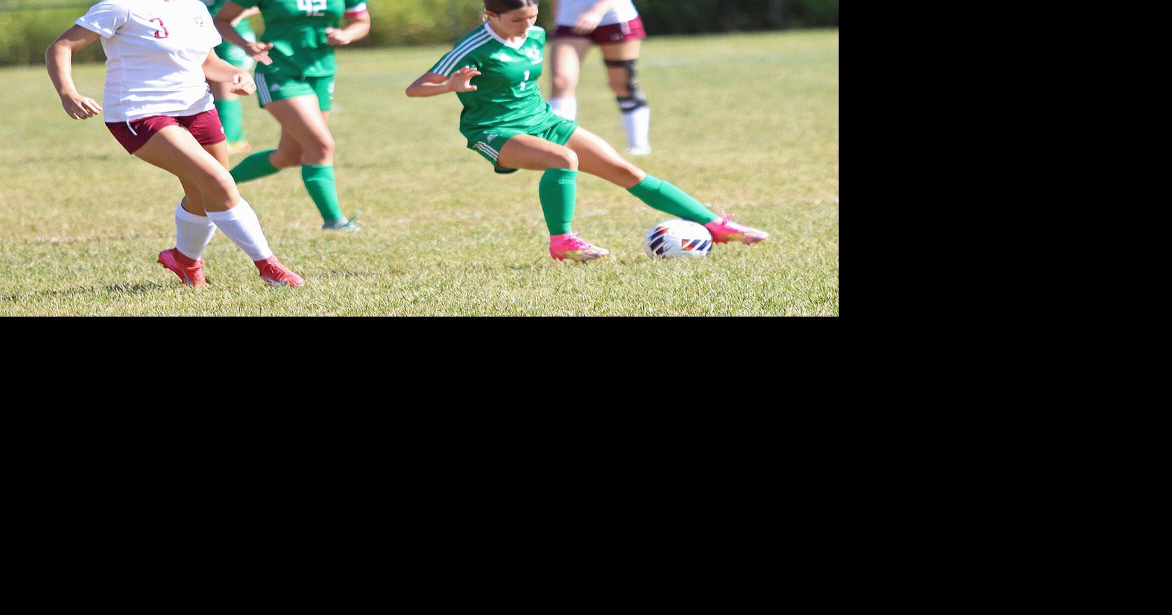Wednesday Roundup: Towanda, Wyalusing fall on the road | Sports ...