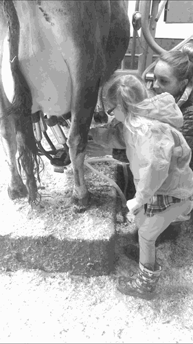 Conservation Corner: Raising kids and calves | Arts & Living ...