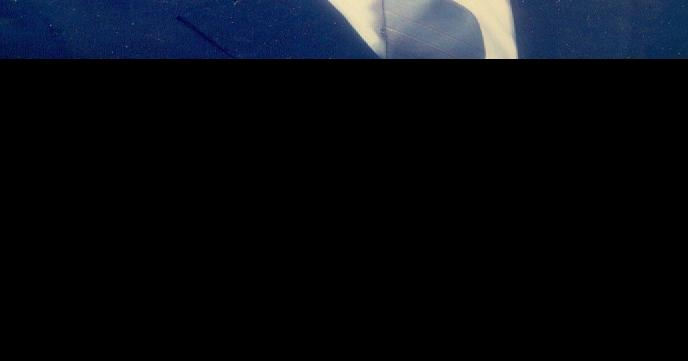 Richard H. 'Dick' Dimon, 84 | Obituaries | thedailyreview.com