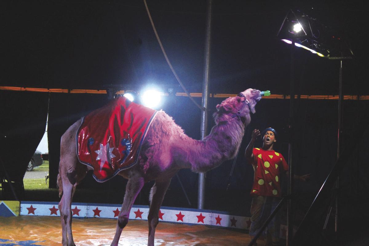 Lewis and Clark Circus rolls right into Troy | Local/Regional ...
