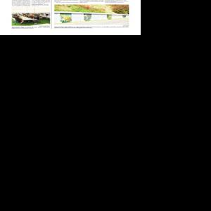 Page A8 | Digital Edition | thedailyreview.com