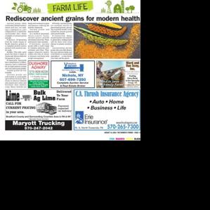 Page F13 | Digital Edition | thedailyreview.com