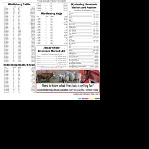 Page F13 | Digital Edition | thedailyreview.com