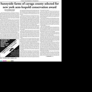 Page F6 | Digital Edition | thedailyreview.com