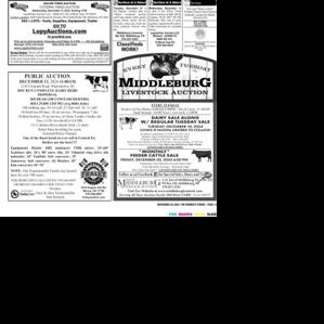 Page F13 | Digital Edition | thedailyreview.com