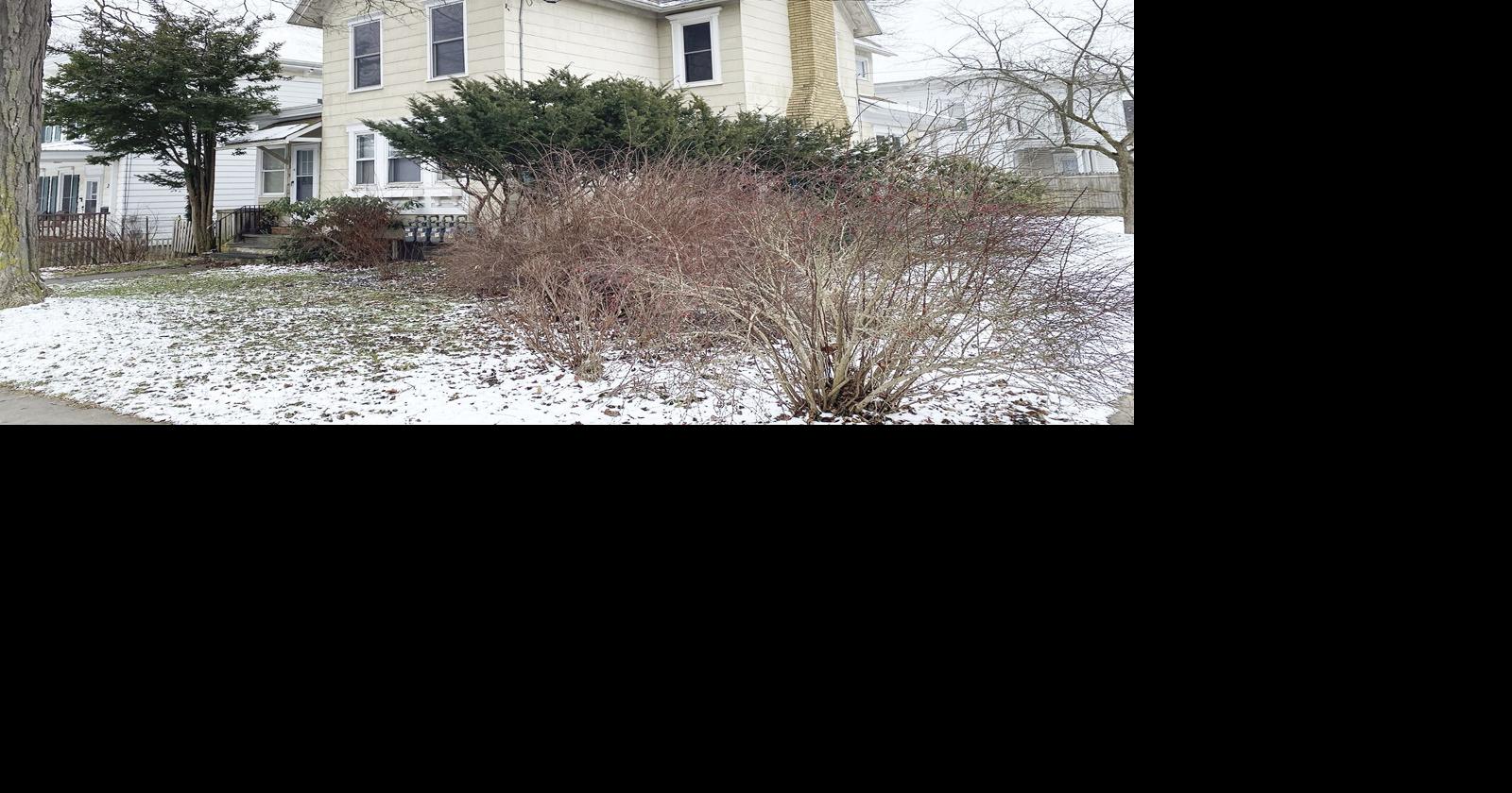 Oneonta police report shooting in city | Local News | thedailystar.com