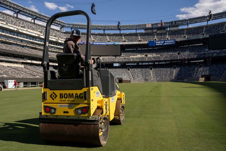 The World Cup pitches are the result of years of engineering to find ...