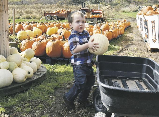 Daily Star Focus: Oct. 22, 2020 | Featured | thedailystar.com