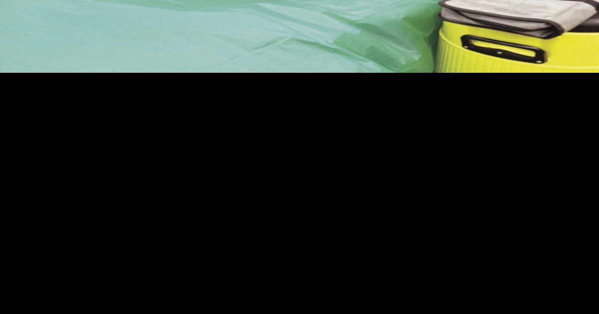 Local Business: Oneonta food stand features authentic Jamaican flavors ...